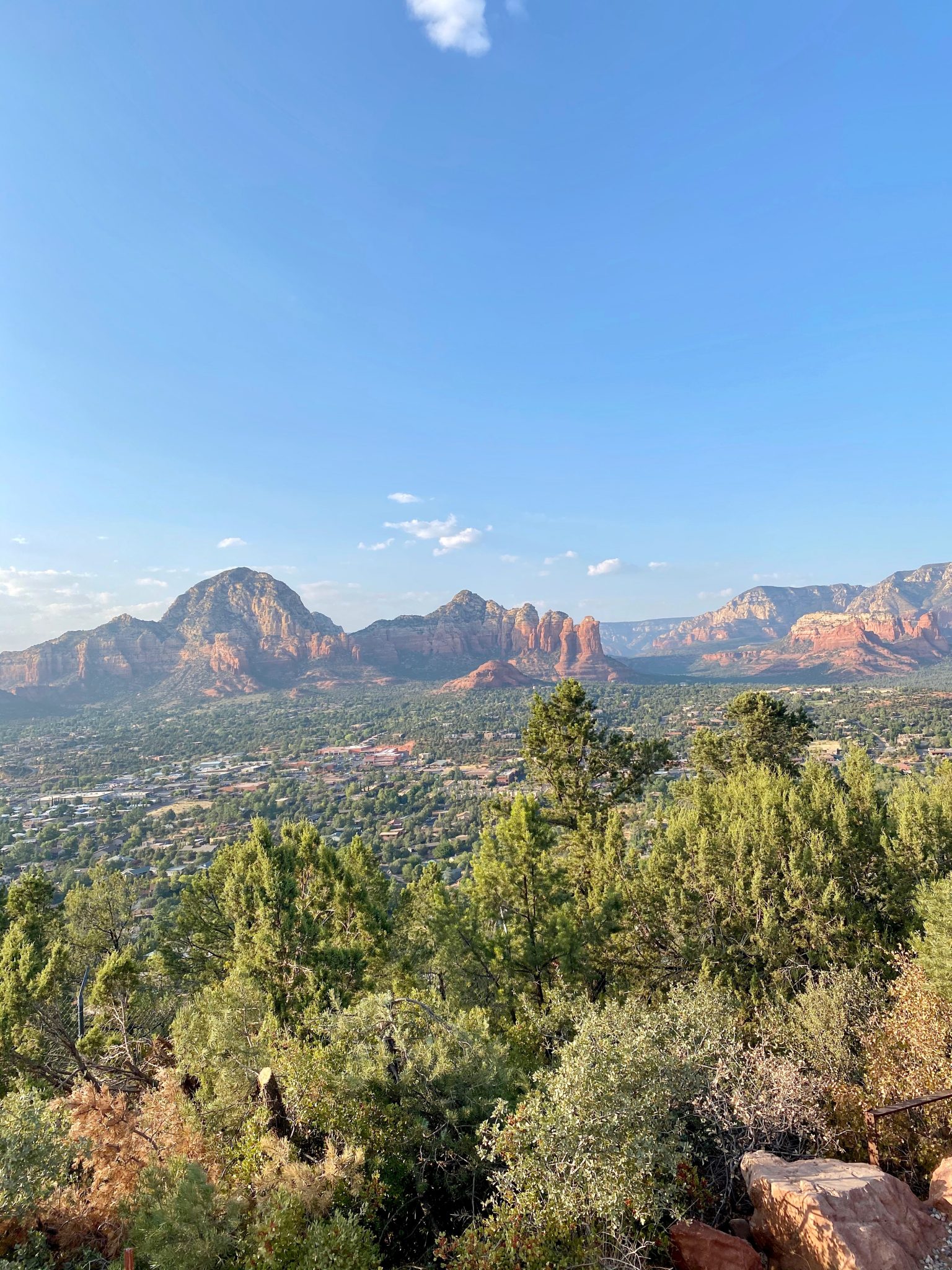 Hiking Aspen Corner in Flagstaff: The Perfect Autumn Escape | From One ...