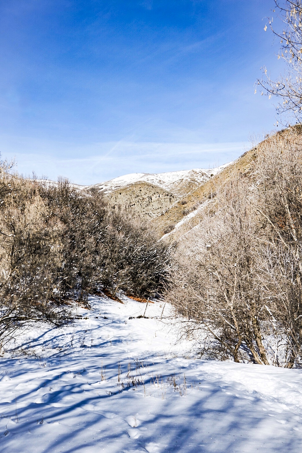 8 Best Things to Do in Provo, Utah | From One Girl to One World